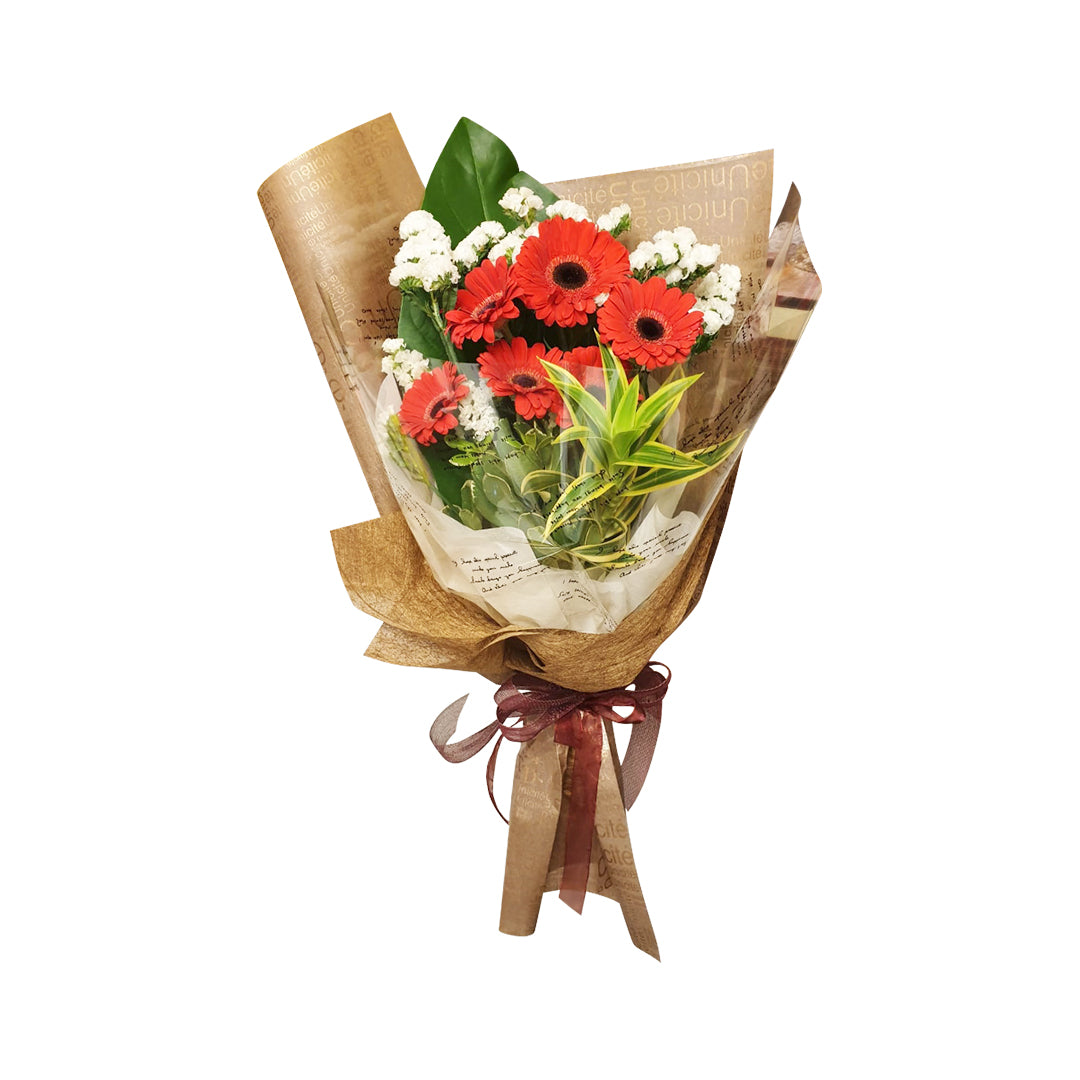 Passion Red Gerbera Bouquet – D'Hummingbird Online Floral