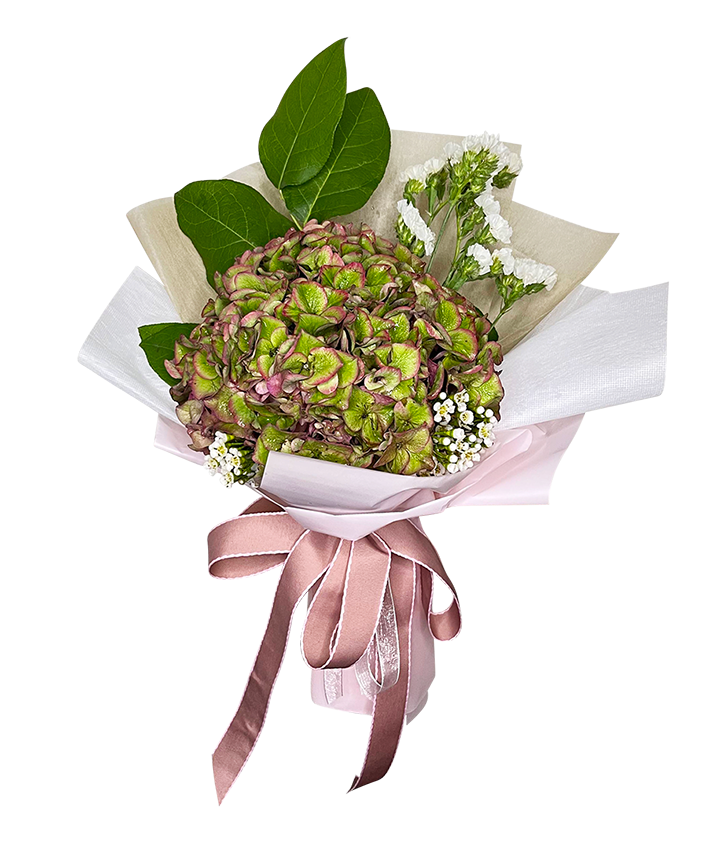 Ombre Hydrangea Bouquet – D'Hummingbird Online Floral